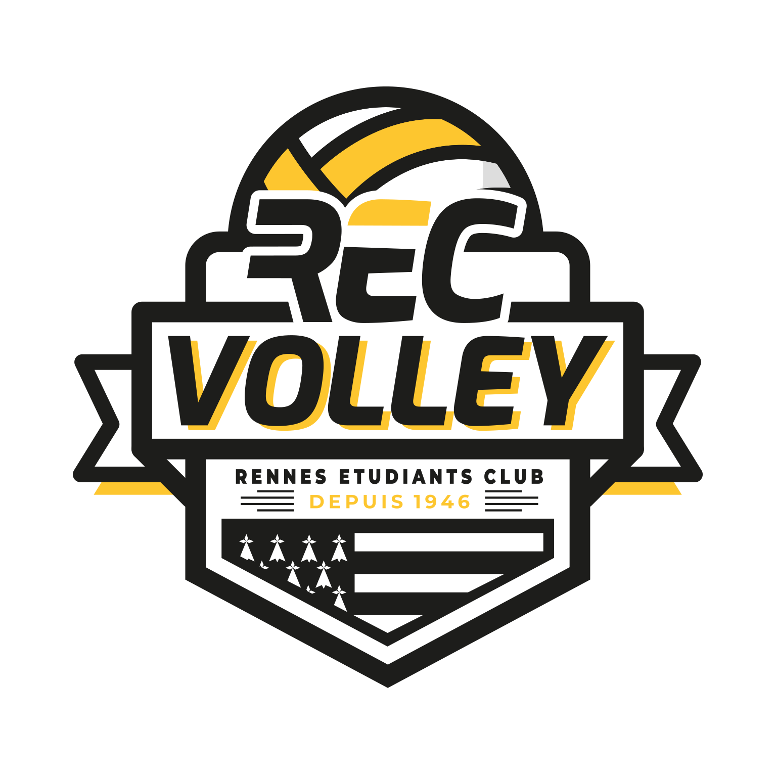 REC Volley - Chalon sur Saône - Rennes - Billetterie Webgazelle